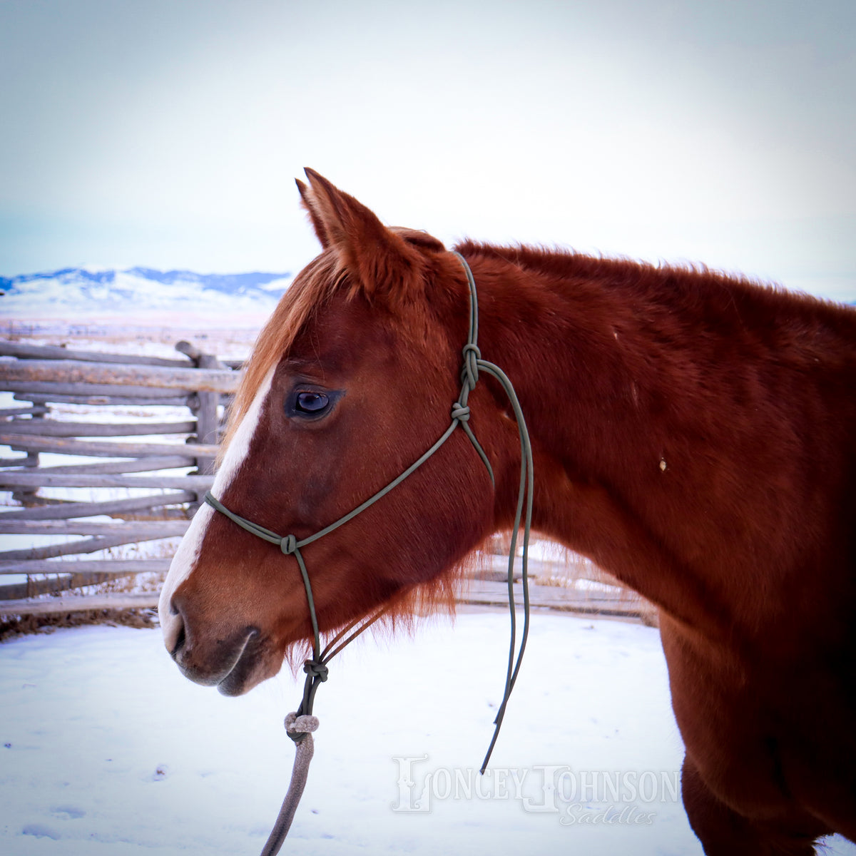 Hand Tied Rope Halters – Loncey Johnson Saddles